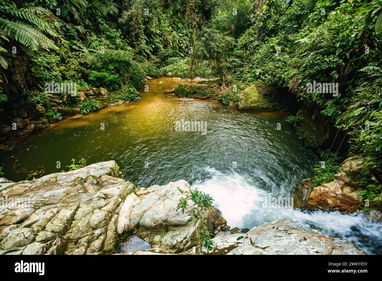 Small natural pond in jungle. Hard trek to hidden ancient ruins of ...