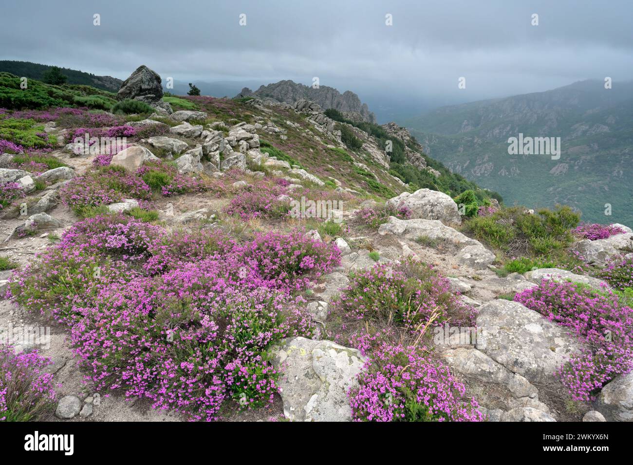 View of Roc du Caroux and Roc de la Siejo under the clouds, Massif du ...