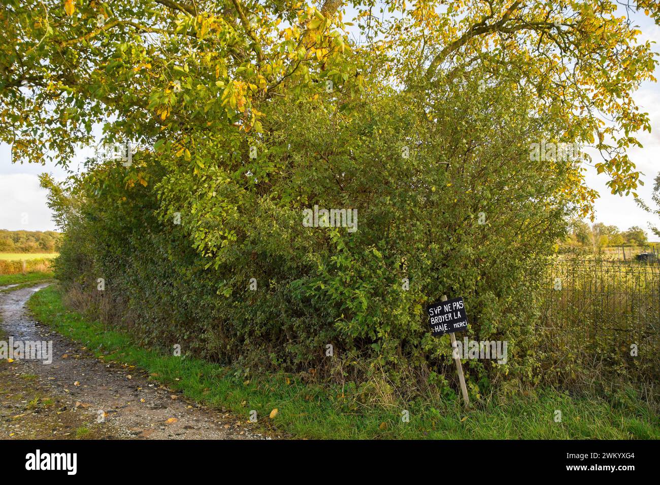 A private individual's sign warning the commune not to mulch his hedge ...