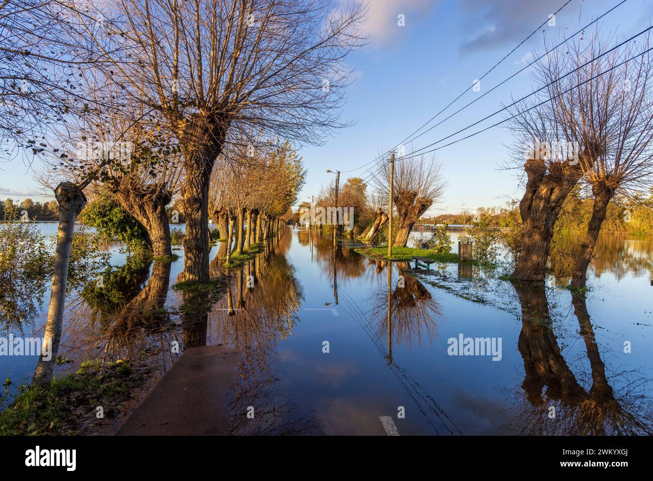 Lake d'Ardres overflows following intense rainfall, Pas-de-Calais ...