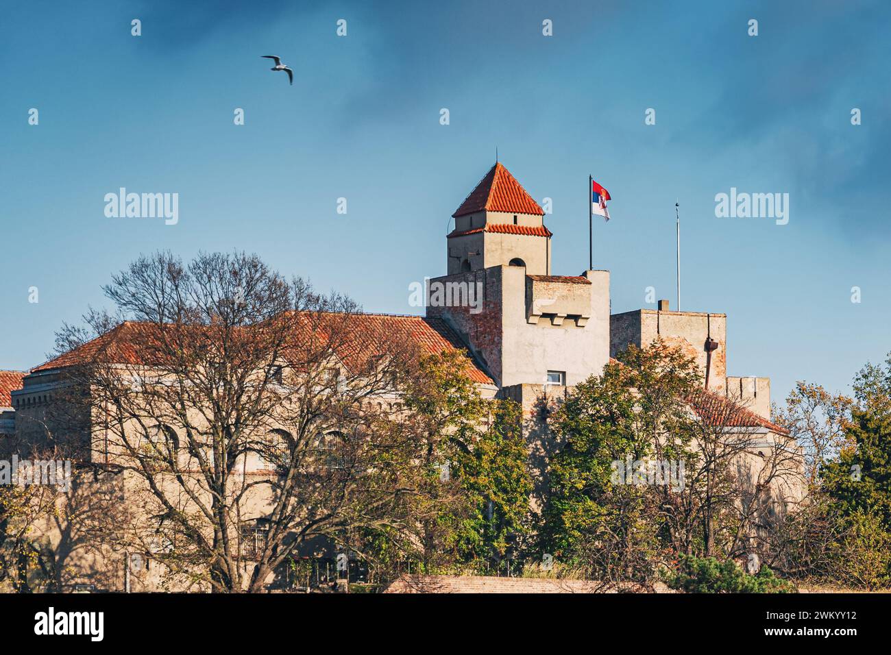 Belgrade Kalemegdan Fortress: Explore the storied halls and ramparts of ...