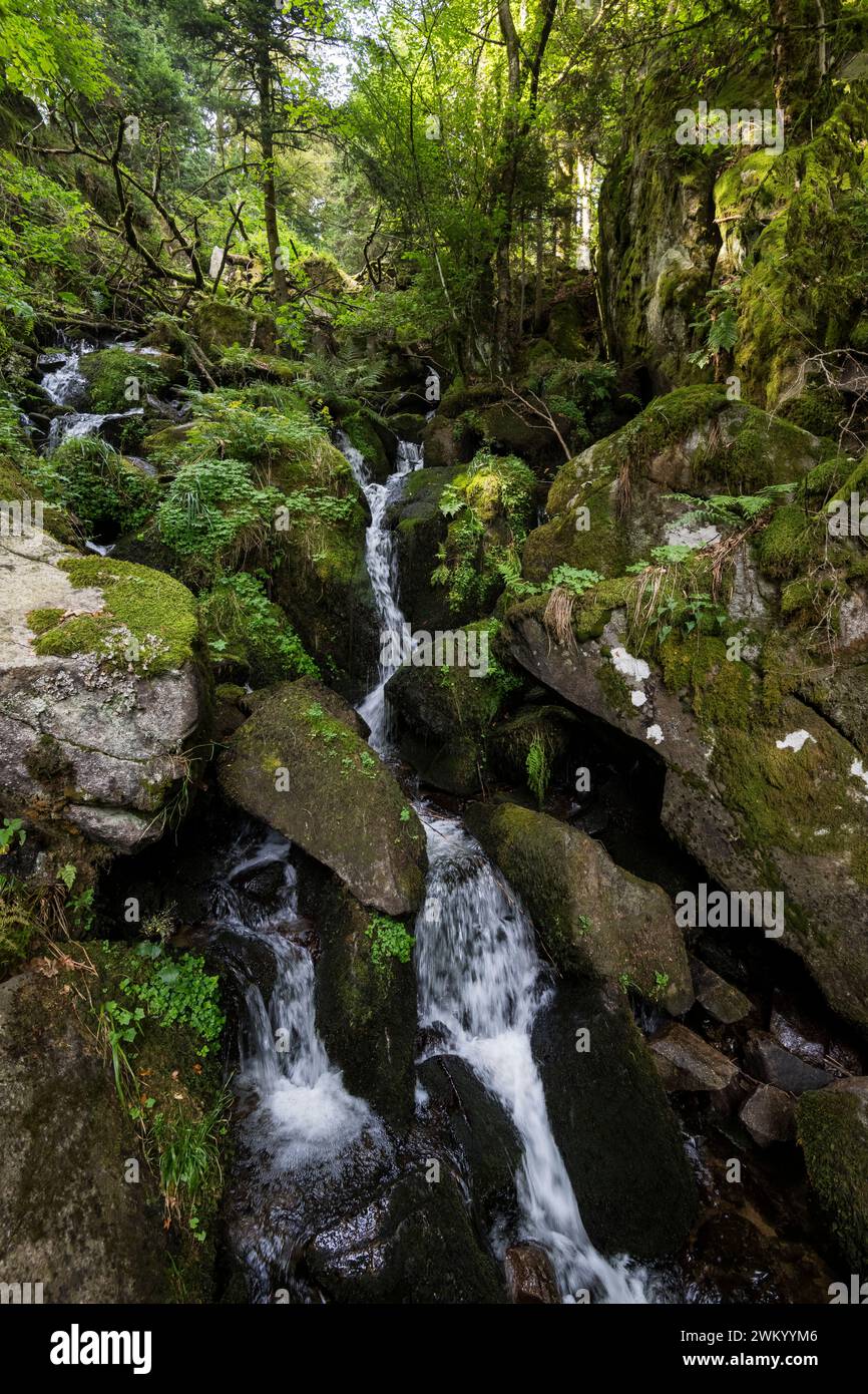 Cascade du Petit Tendon (top), Lac du Fishboedle, Metzeral, Vosges ...