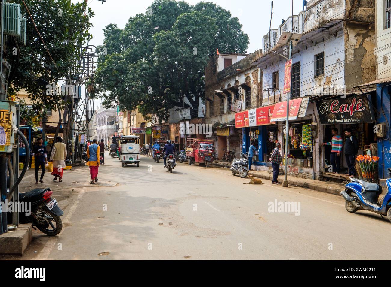 street scene in Varanasi, India Stock Photo - Alamy