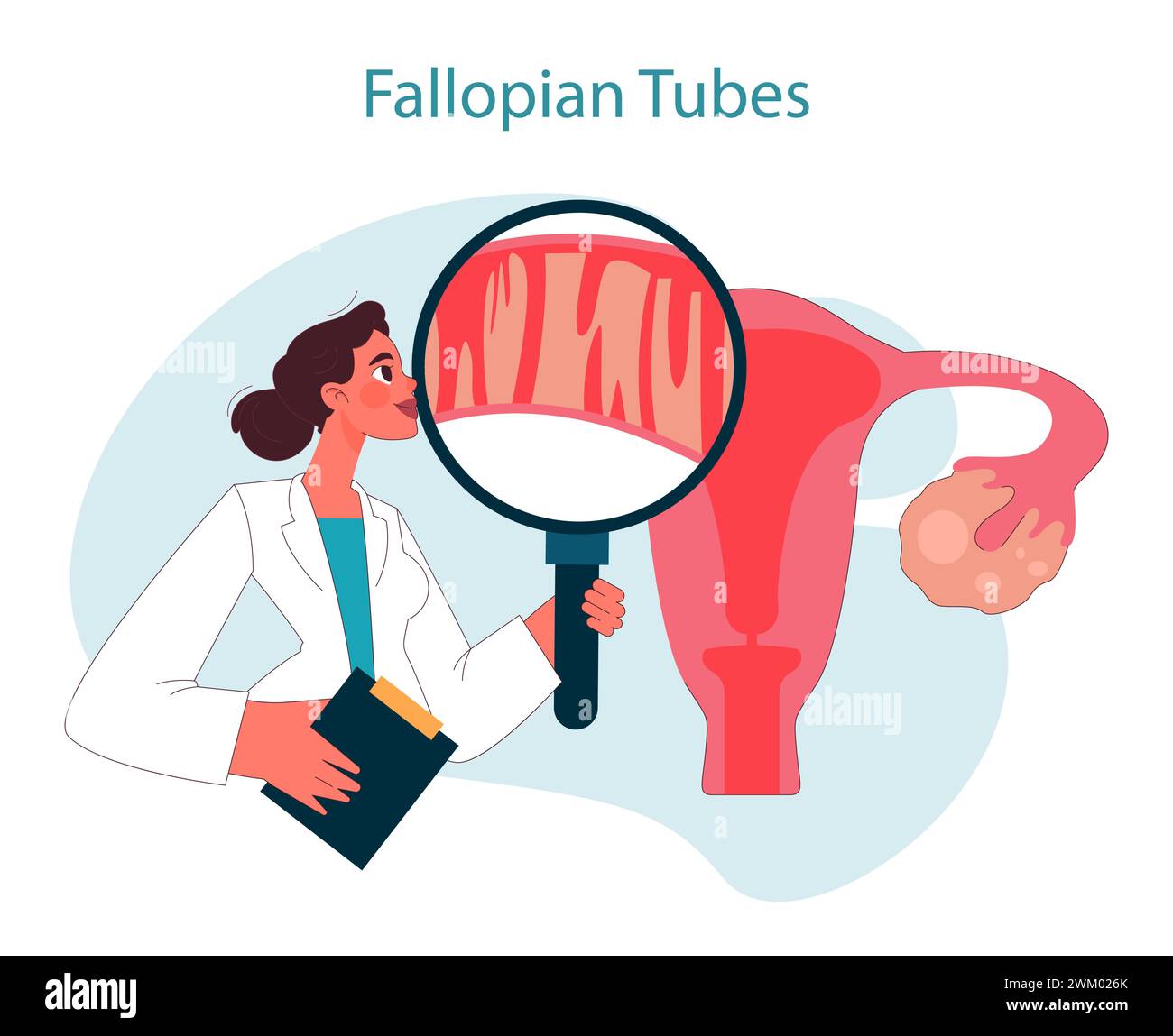 Fallopian Tubes Doctor Examining Fallopian Tubes Using Magnifying