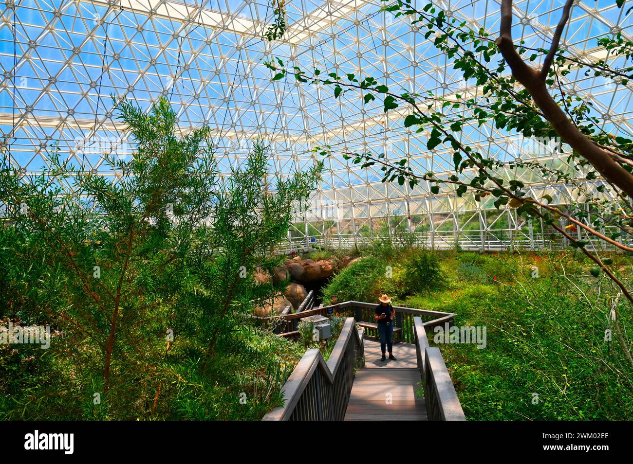 Biosphere 2, built between 1987 and 1991, aimed to recreate various ...