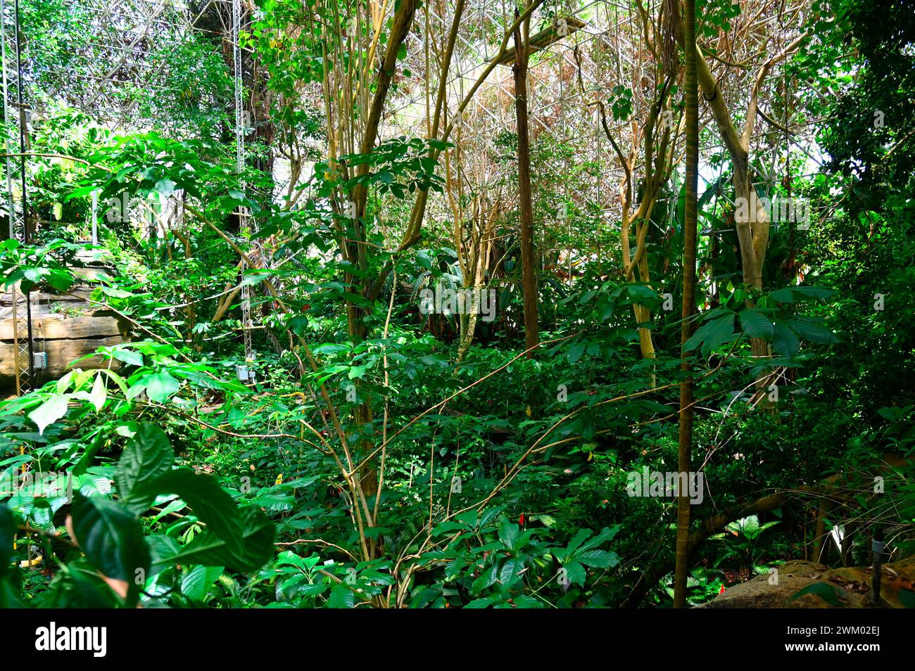 Biosphere 2, built between 1987 and 1991, aimed to recreate various ...
