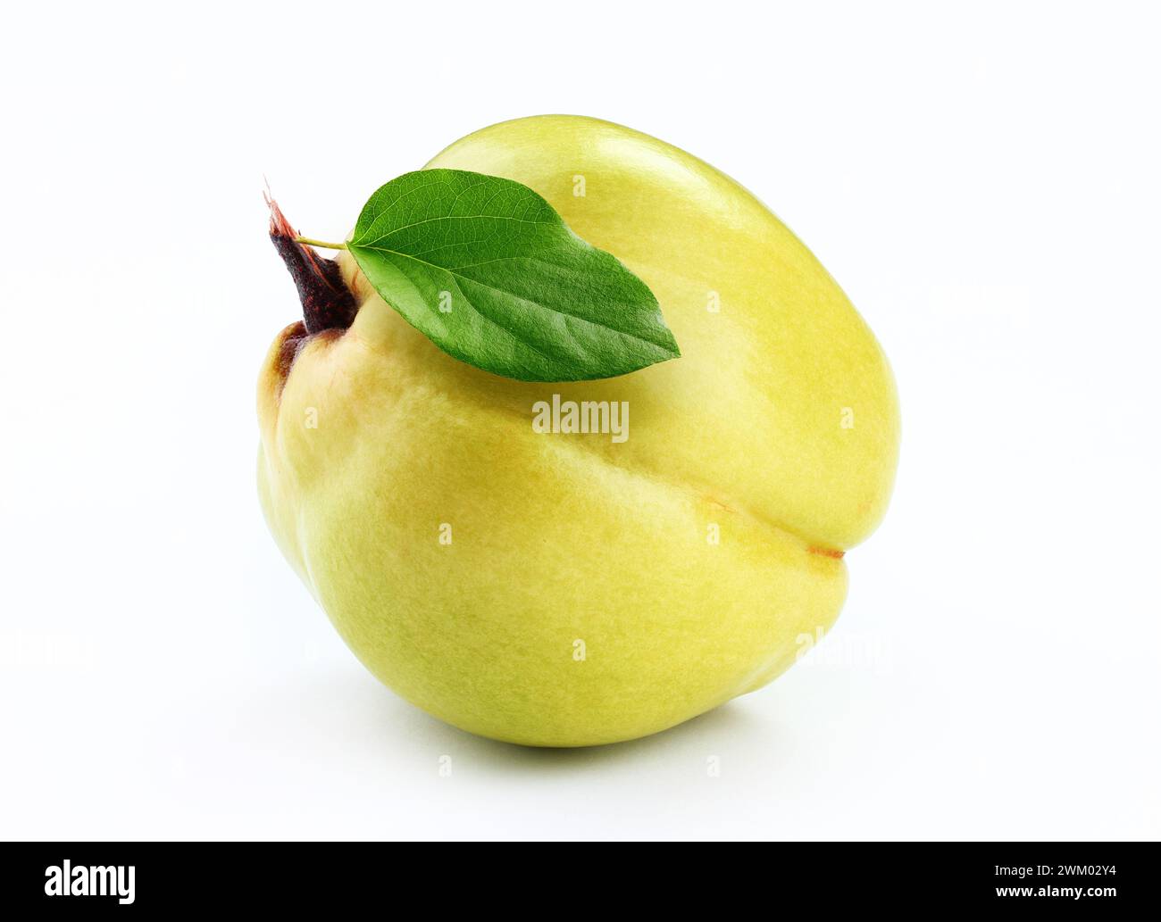 fresh yellow quince with slice isolated white background Stock Photo ...