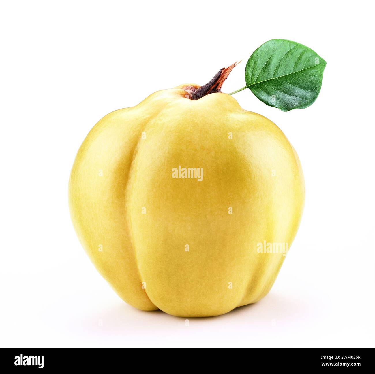 fresh yellow quince with slice isolated white background Stock Photo ...