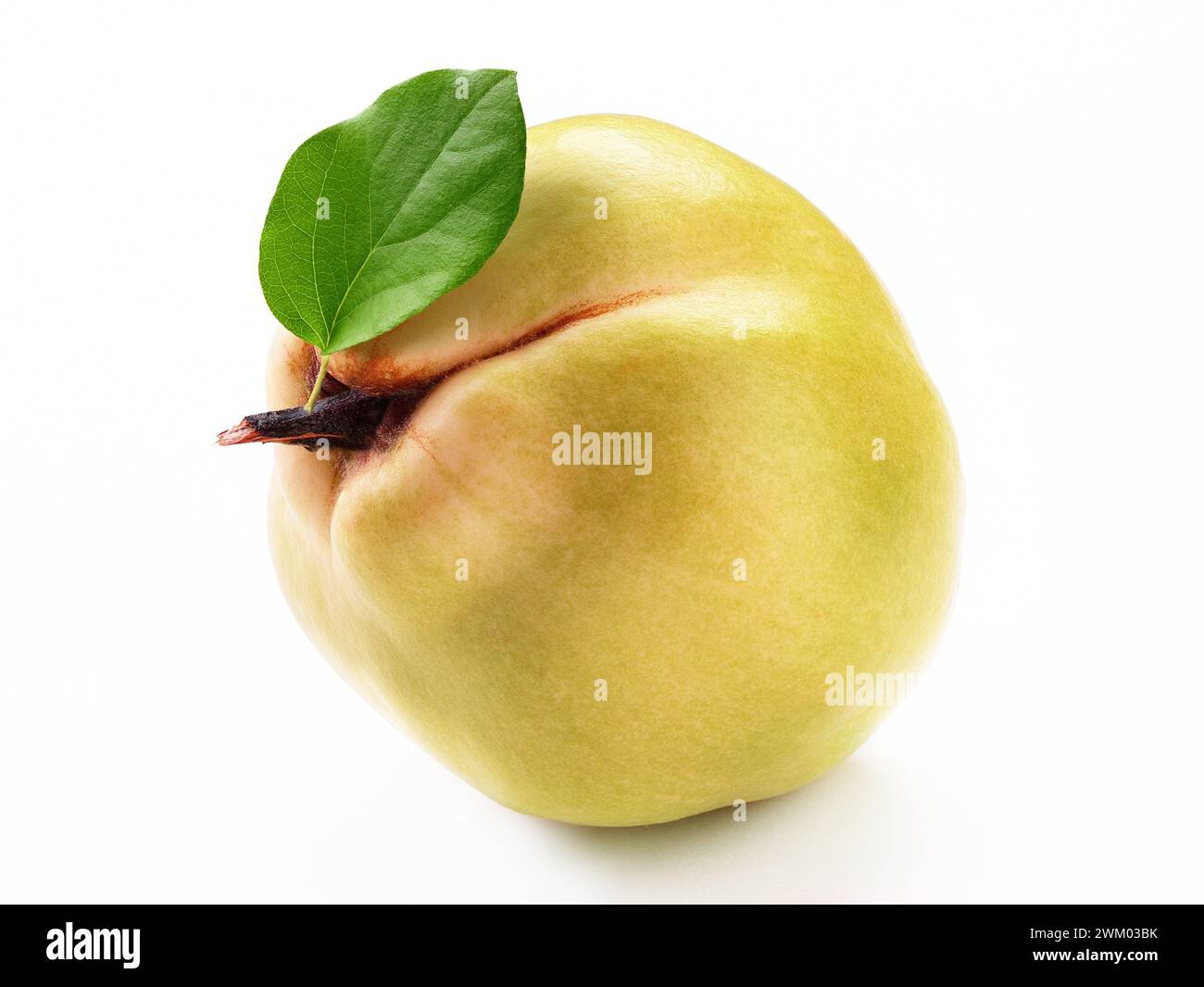 fresh yellow quince with slice isolated white background Stock Photo ...