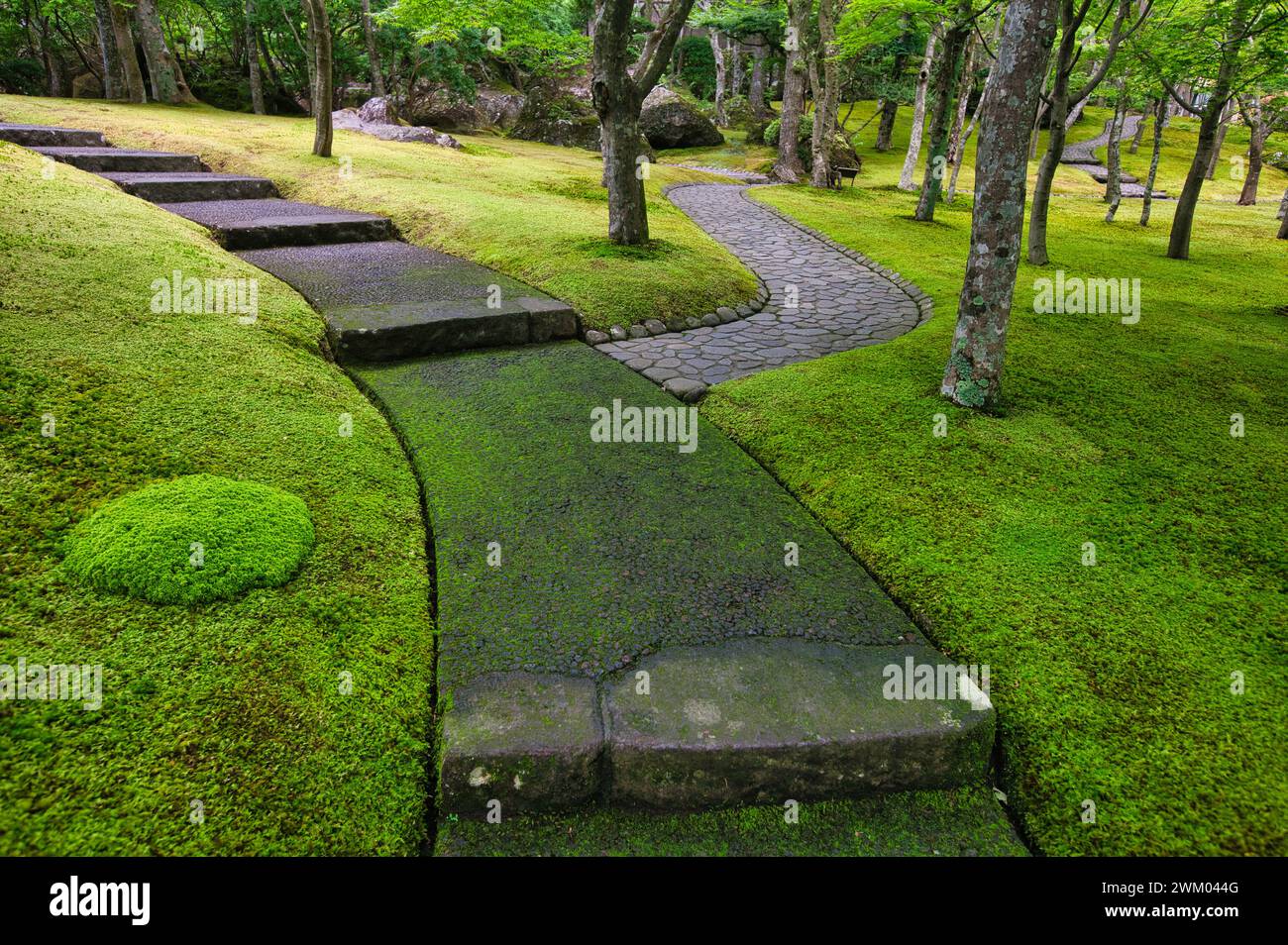 Moss Garden, Hakone Museum of Art, Hakone, Kanagawa, Japan Stock Photo ...
