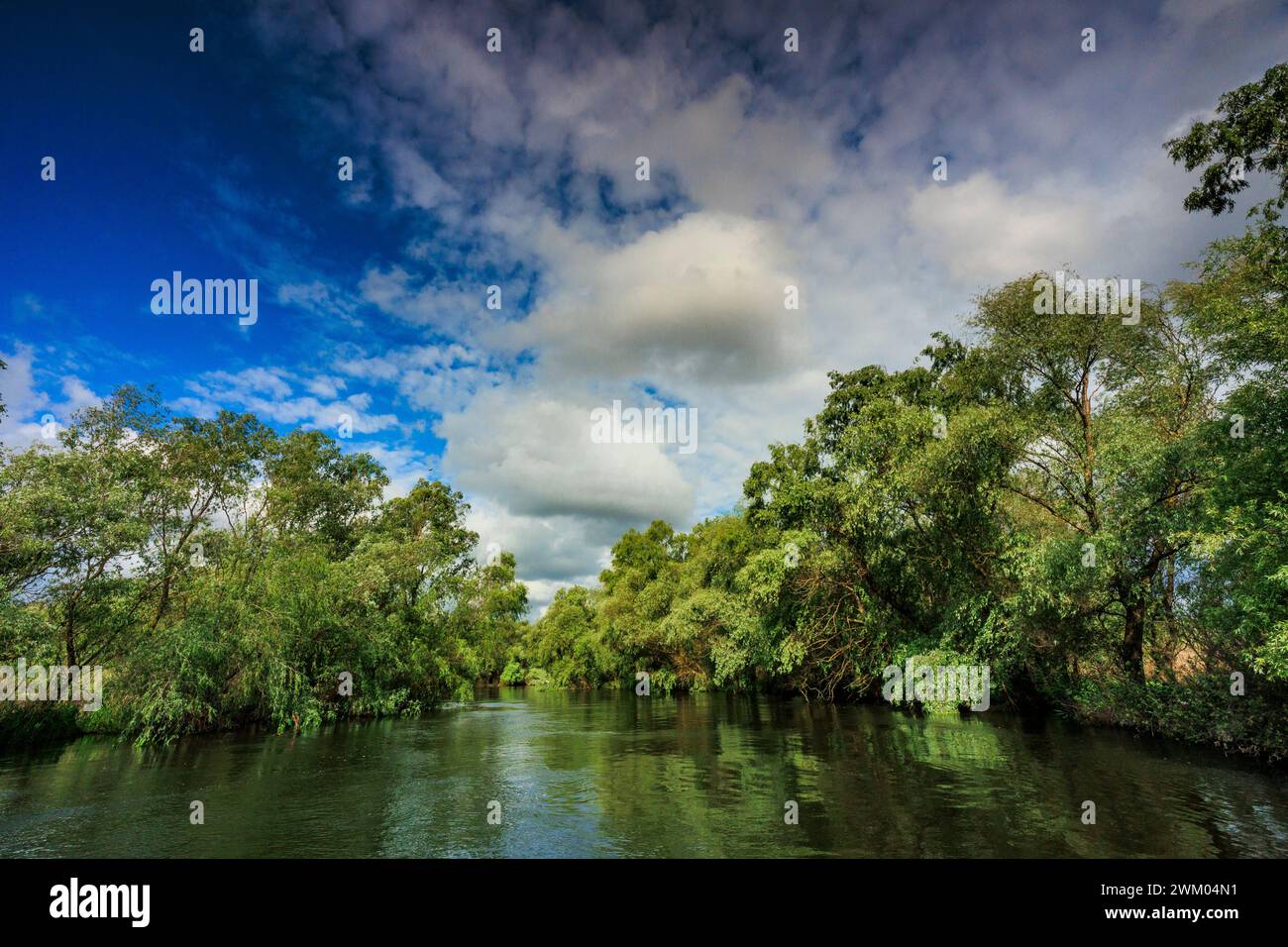 Landscape of the Danube Delta, Romania Stock Photo - Alamy