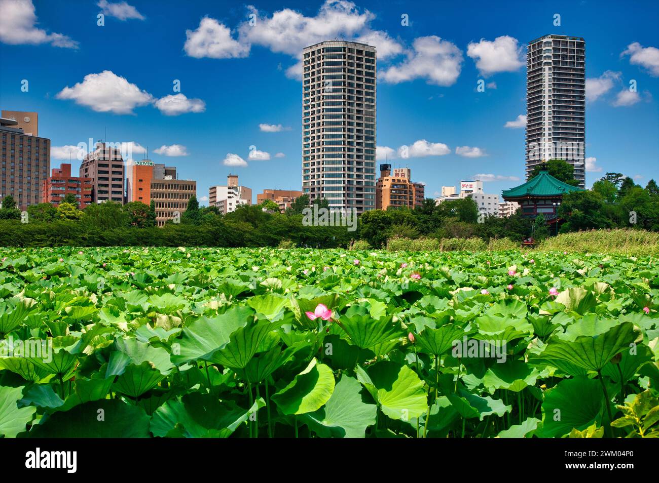 Benzaiten Temple, Ueno Onshi Park, Ueno, Tokyo, Japan Stock Photo - Alamy