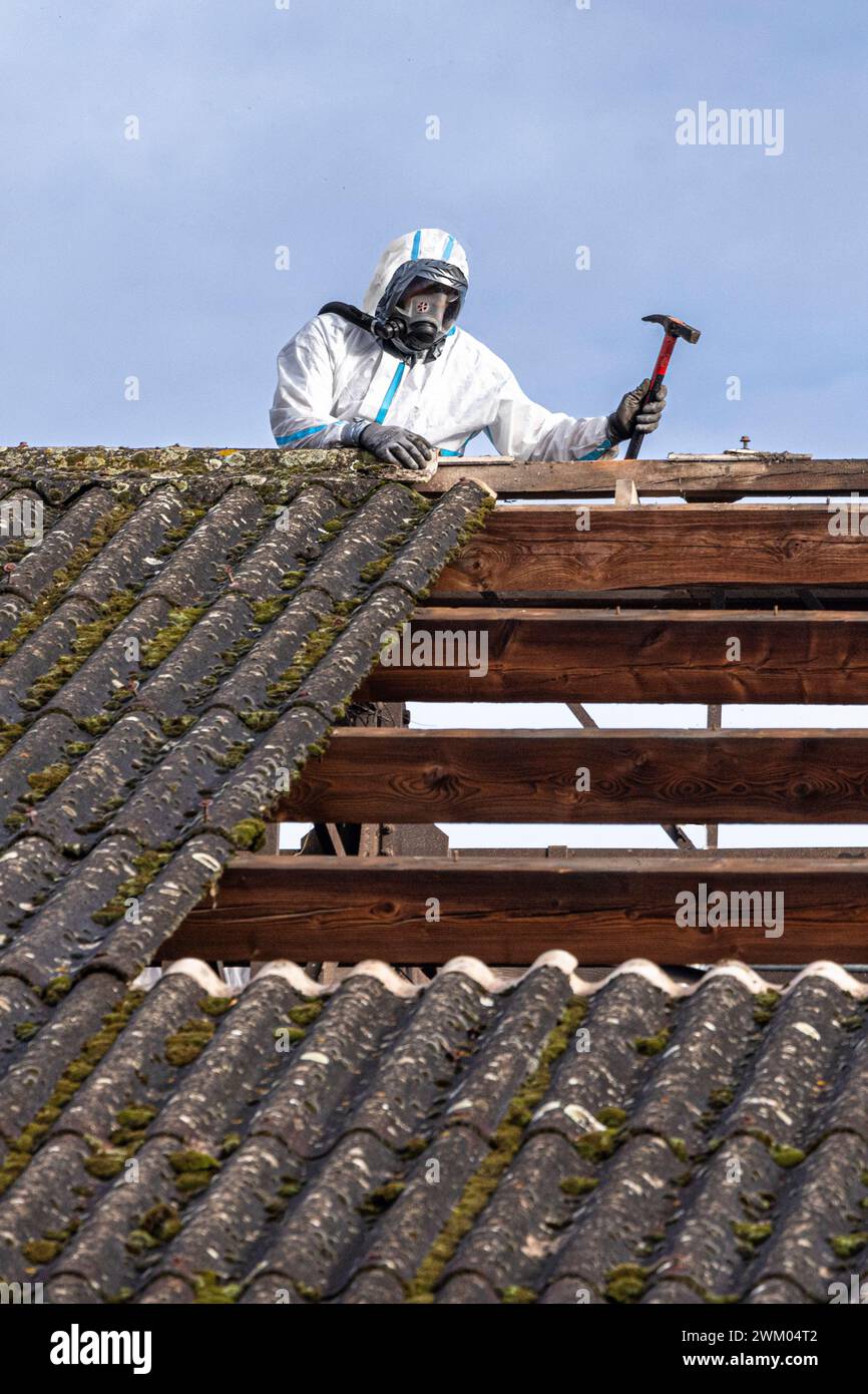 Asbestos removal from a fibro-cement farm shed by a company approved ...