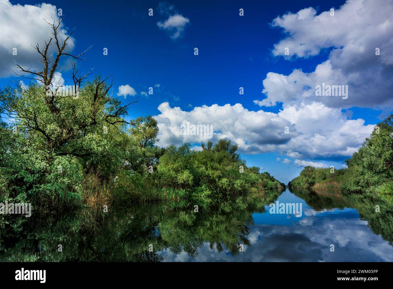 Landscape of the Danube Delta, Romania Stock Photo - Alamy