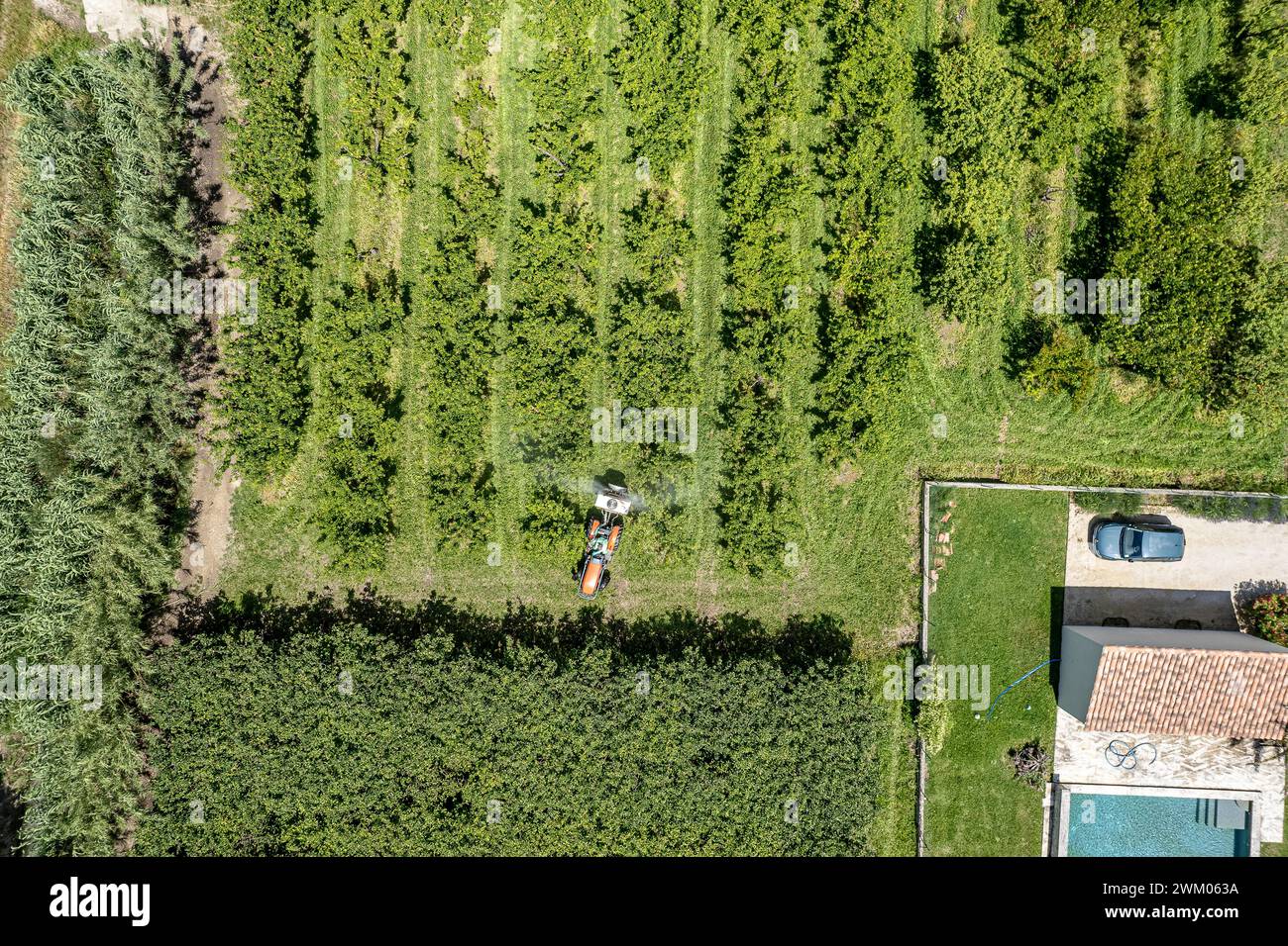 Pesticide spraying (probably a fungicide, near a residential area) in ...