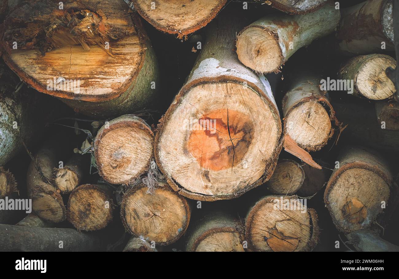 Chainsaw woodpile cut logs hi-res stock photography and images - Alamy