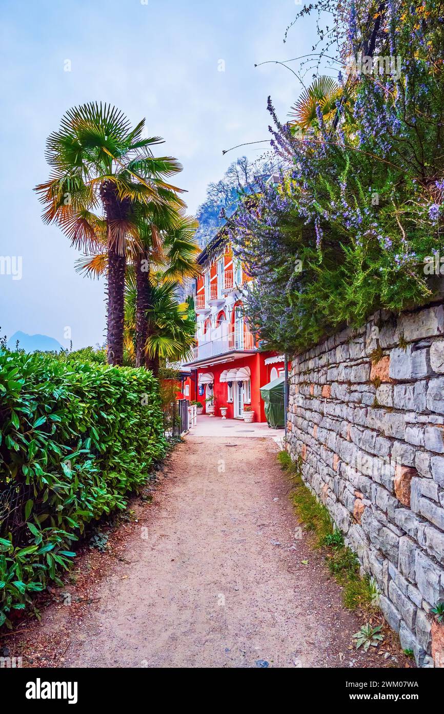 Olive Road, the panoramic path along Lake Lugano between Castagnola and ...