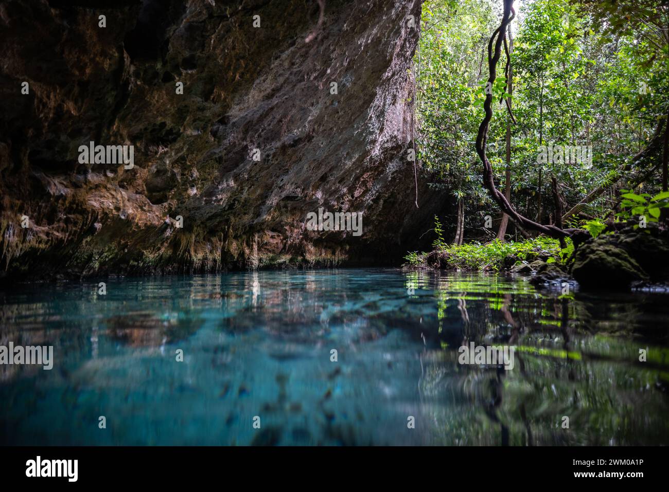 Blue waters and caves in Sac Actun Cenote Tulum Mexico Stock Photo - Alamy