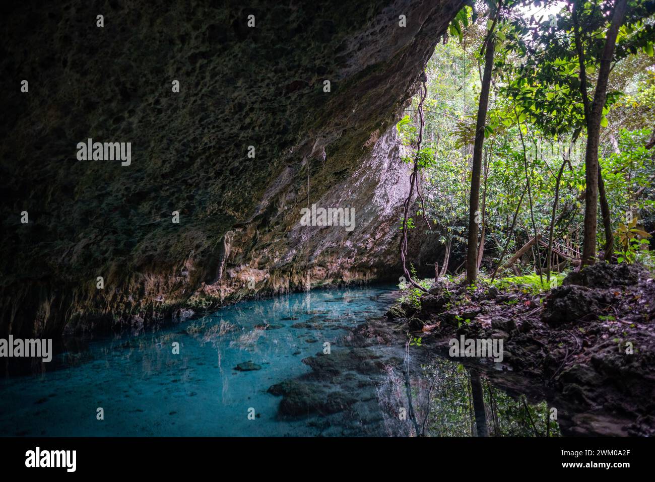 Sac actun cenote hi-res stock photography and images - Alamy