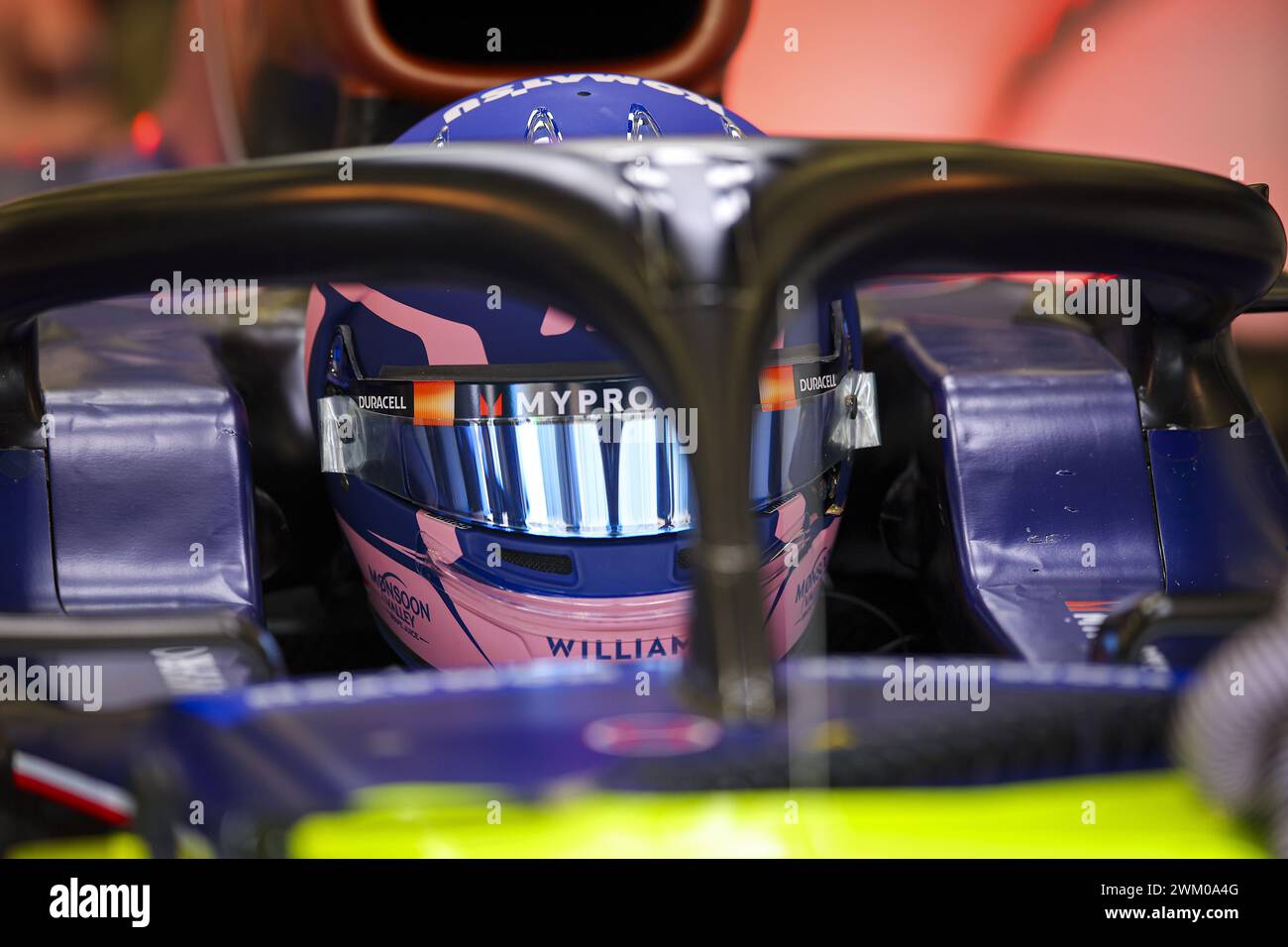 ALBON Alexander (tha), Williams Racing FW46, portrait during the ...