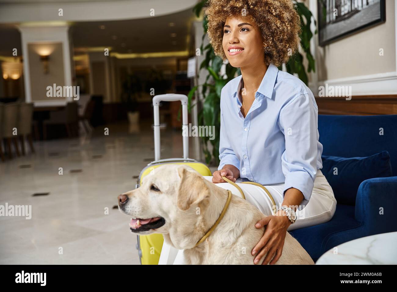 happy traveler waiting for check in with Labrador in pet-friendly hotel ...
