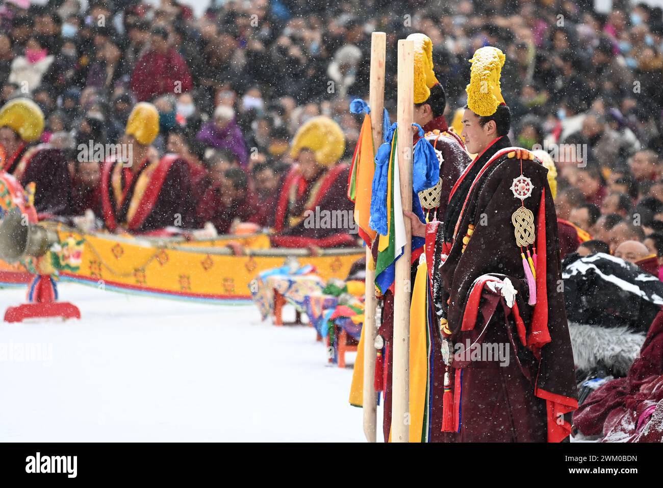 Xiahe, China's Gansu Province. 23rd Feb, 2024. Lamas are pictured ...