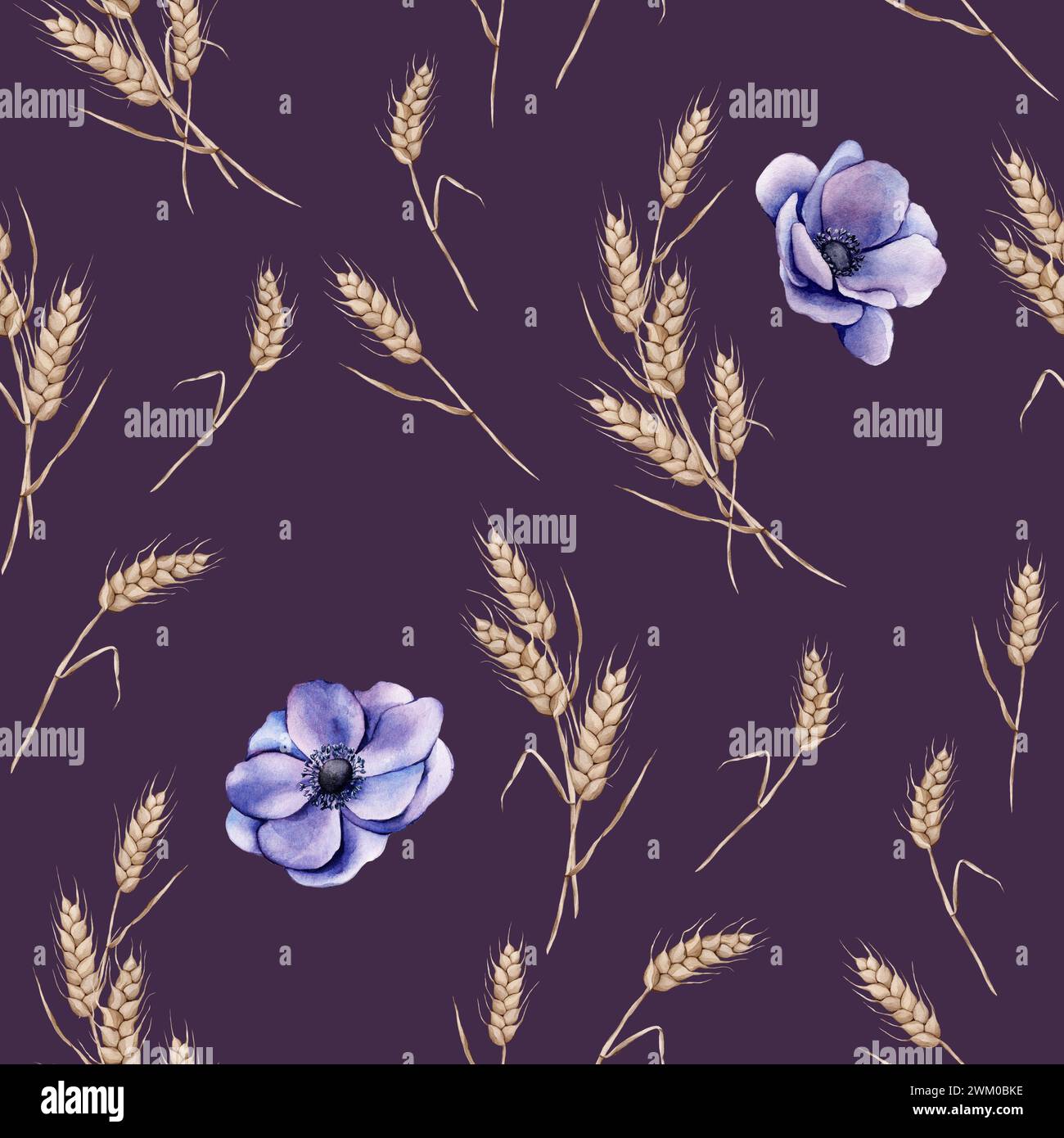 Seamless wheat spikelet pattern, purple anemones. Watercolor herbal ...