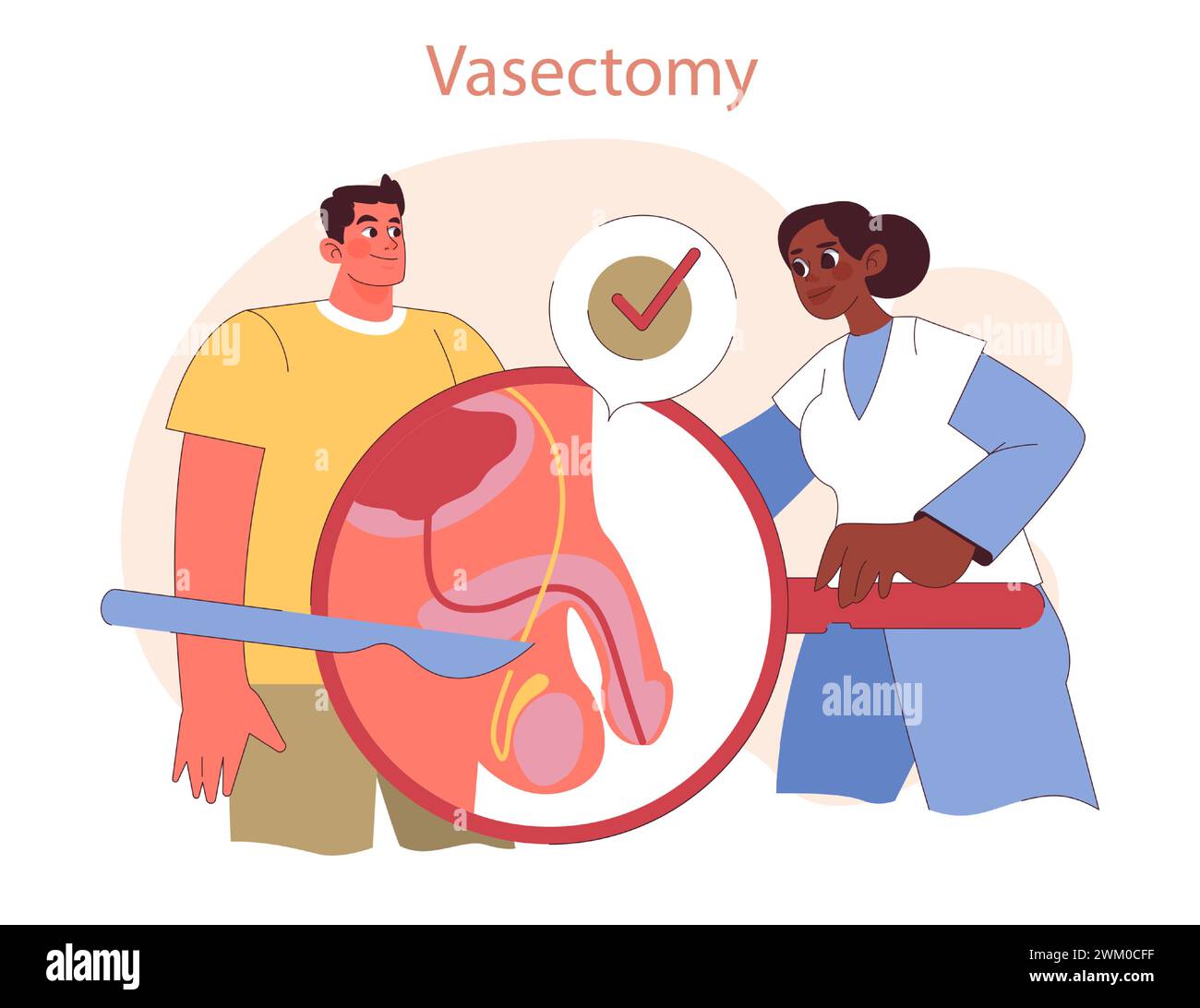 Types of Contraception. Man considers vasectomy under healthcare ...