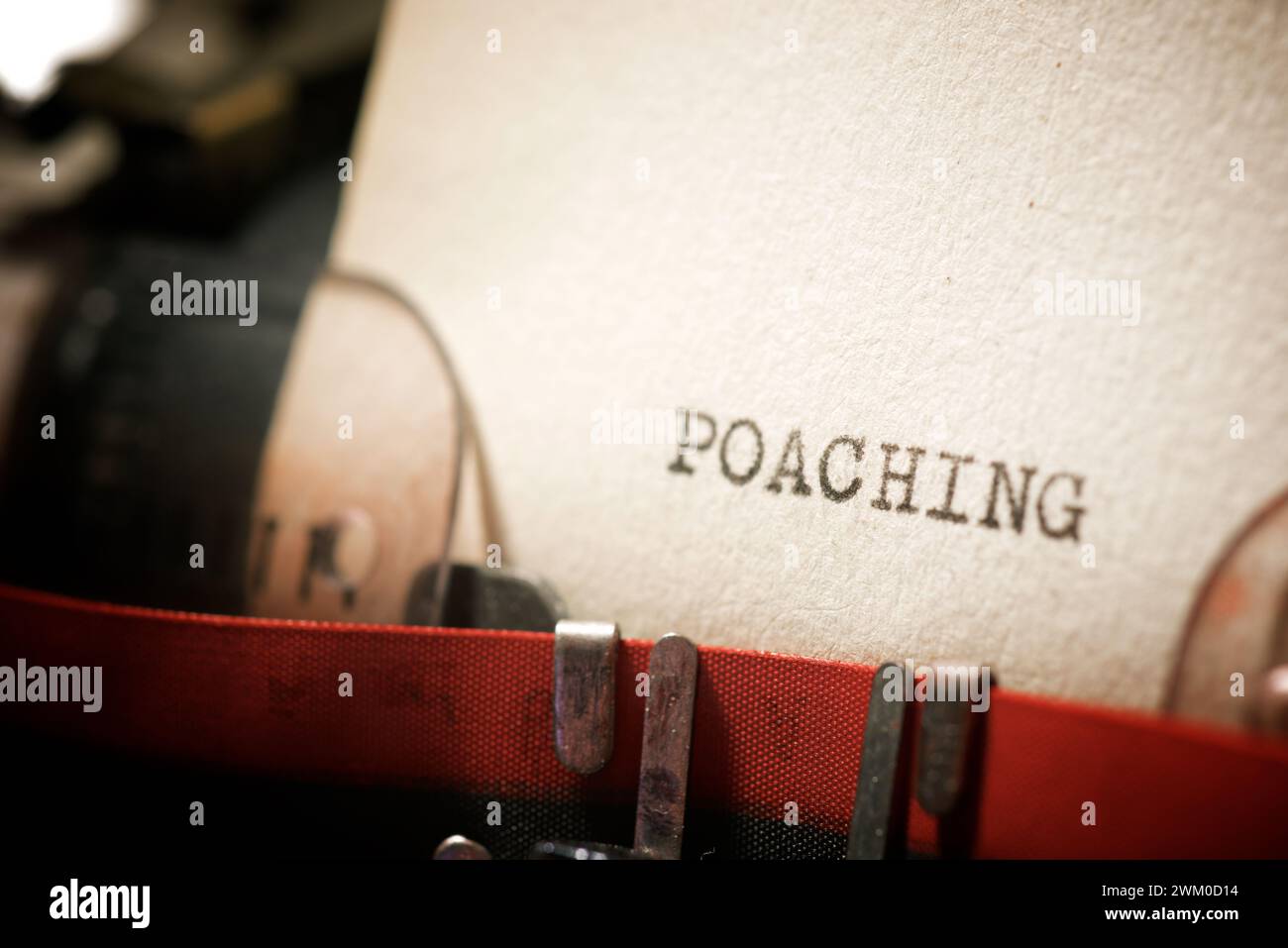 Poaching word written with a typewriter Stock Photo - Alamy