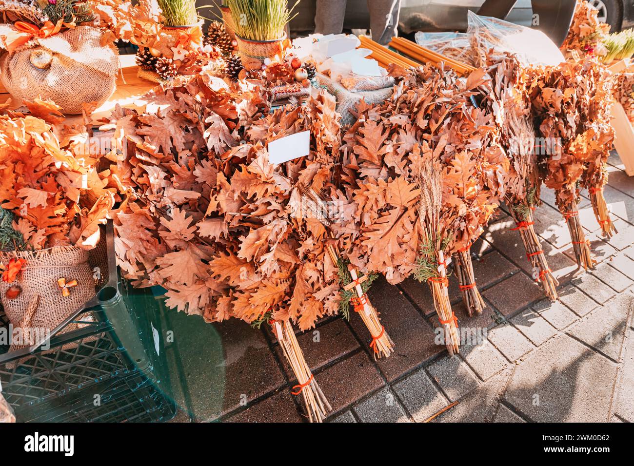 spirit of Serbian Christmas with the ceremonial Badnjak, a symbol of ...