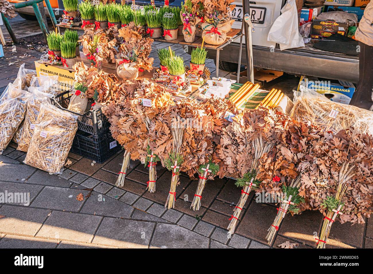 04 January 2024, Novi Sad, Serbia: ceremonial Badnjak oak twigs for ...