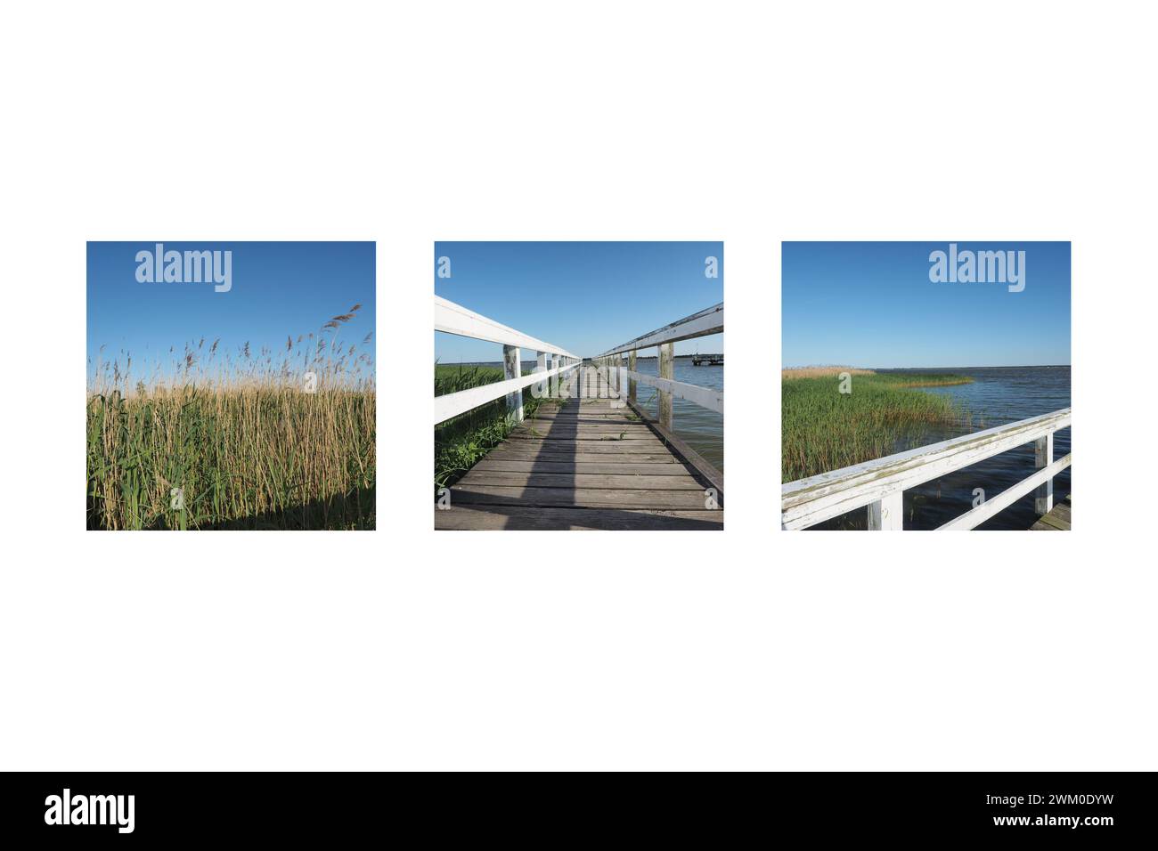 Path in countryside white Cut Out Stock Images & Pictures - Alamy