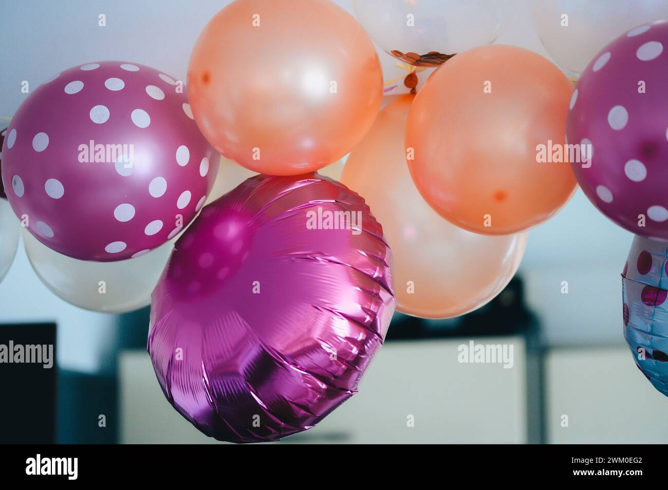 Colorful party balloons in various shapes and colors hi-res stock ...