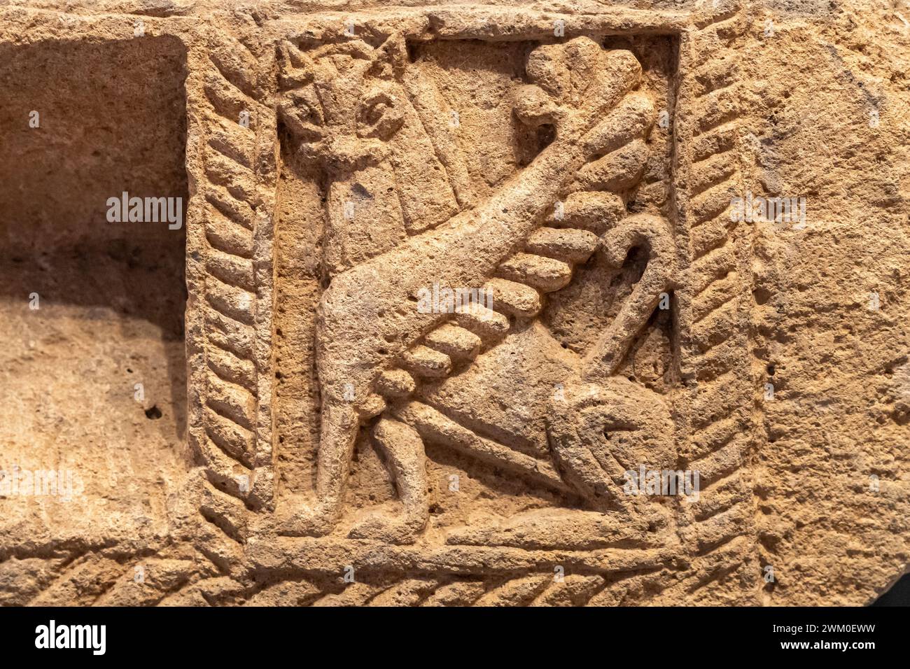 Ancient winged creature hi-res stock photography and images - Alamy