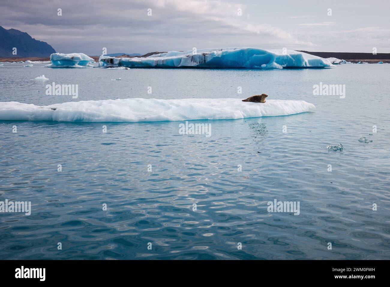 Icelandic glacial scenery, magnificent ice form, iceberg floating in ...