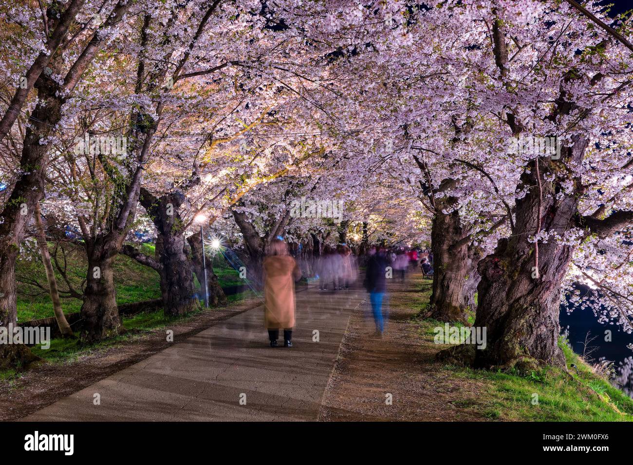 Long exposure (blurred motion) of tourists under a beautiful ...