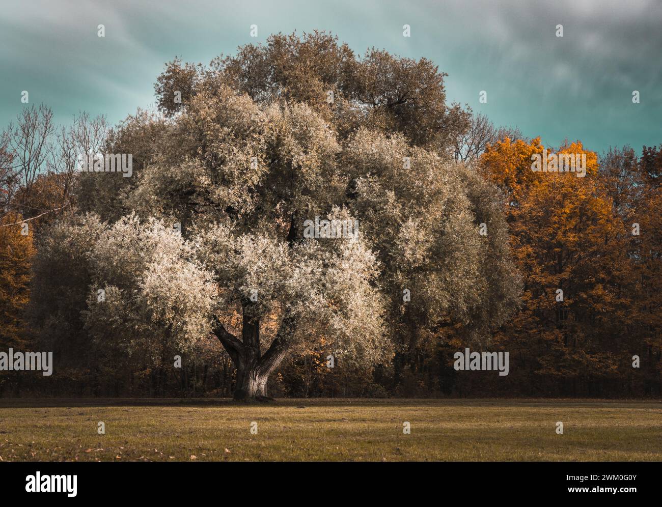 Isolated scenic location hi-res stock photography and images - Alamy