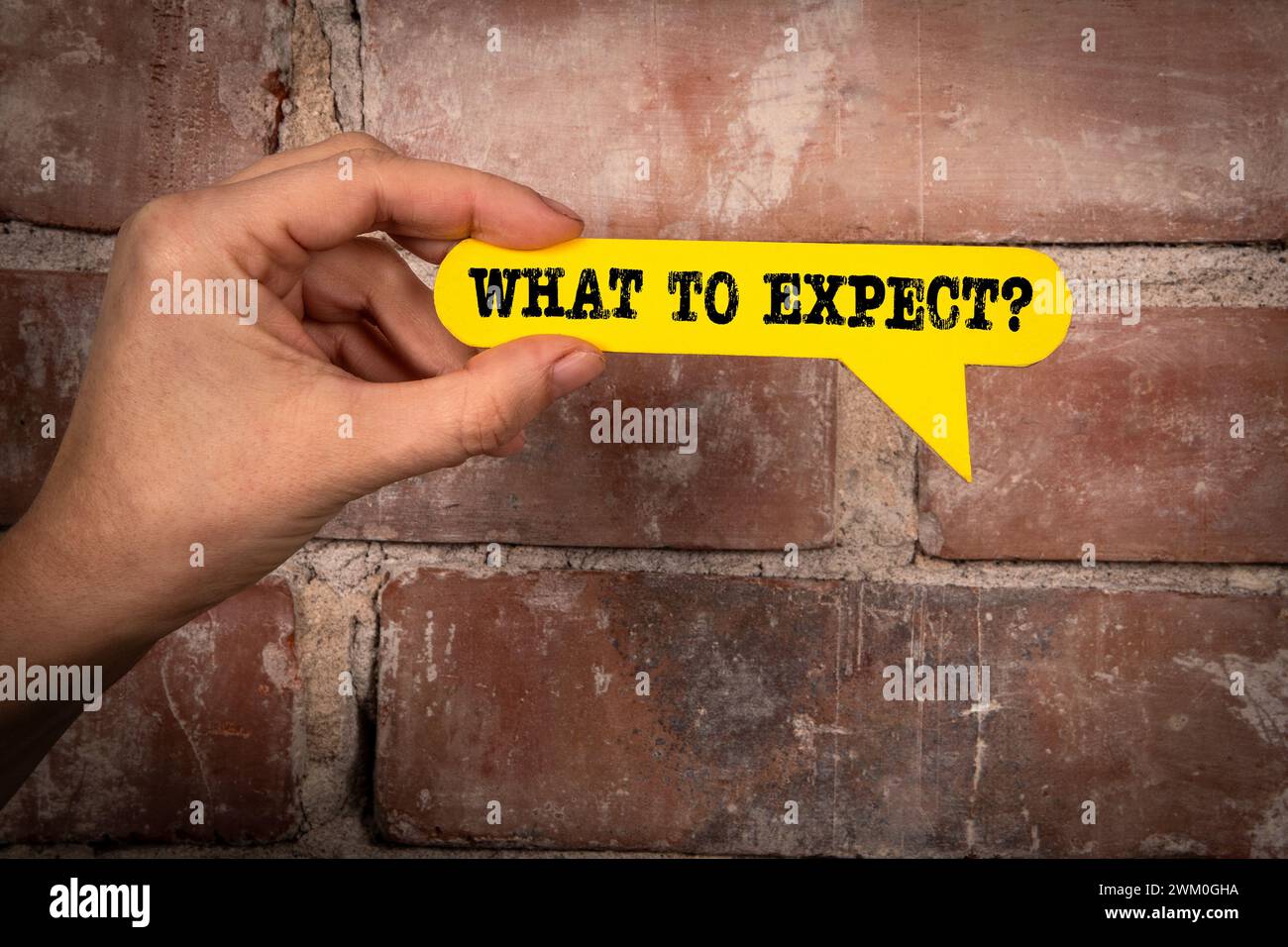 What To Expect. yellow speech bubble with text on a red brick ...