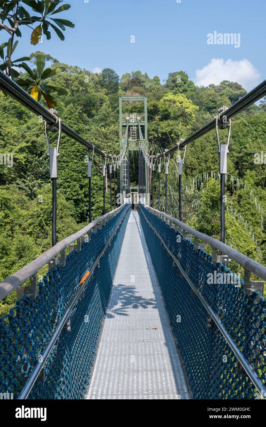 TreeTop Walk Suspension Bridge in Singapore Stock Photo - Alamy