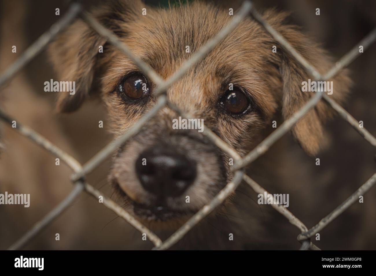 Ownerless hi-res stock photography and images - Alamy