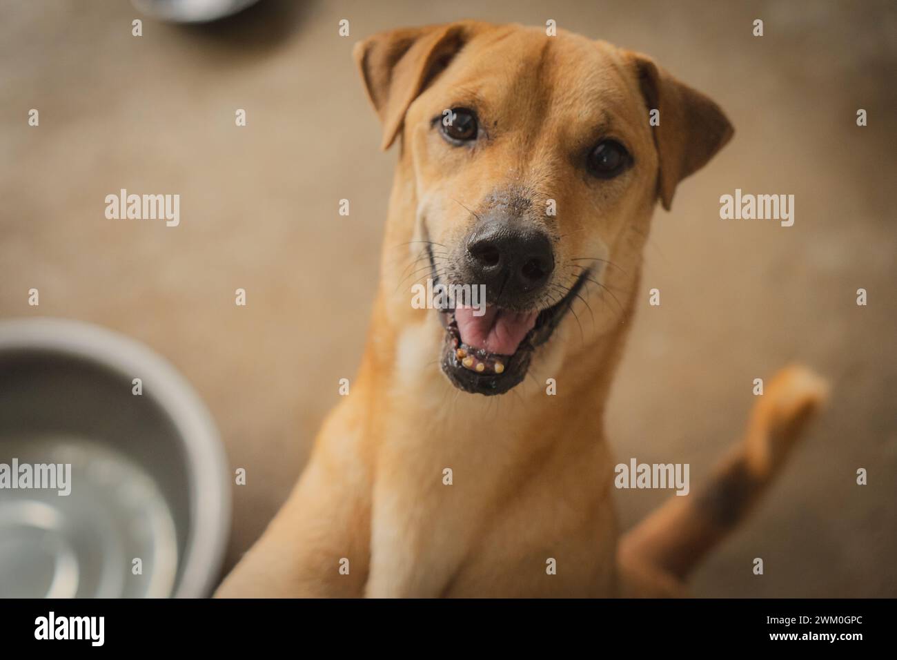 Ownerless hi-res stock photography and images - Alamy