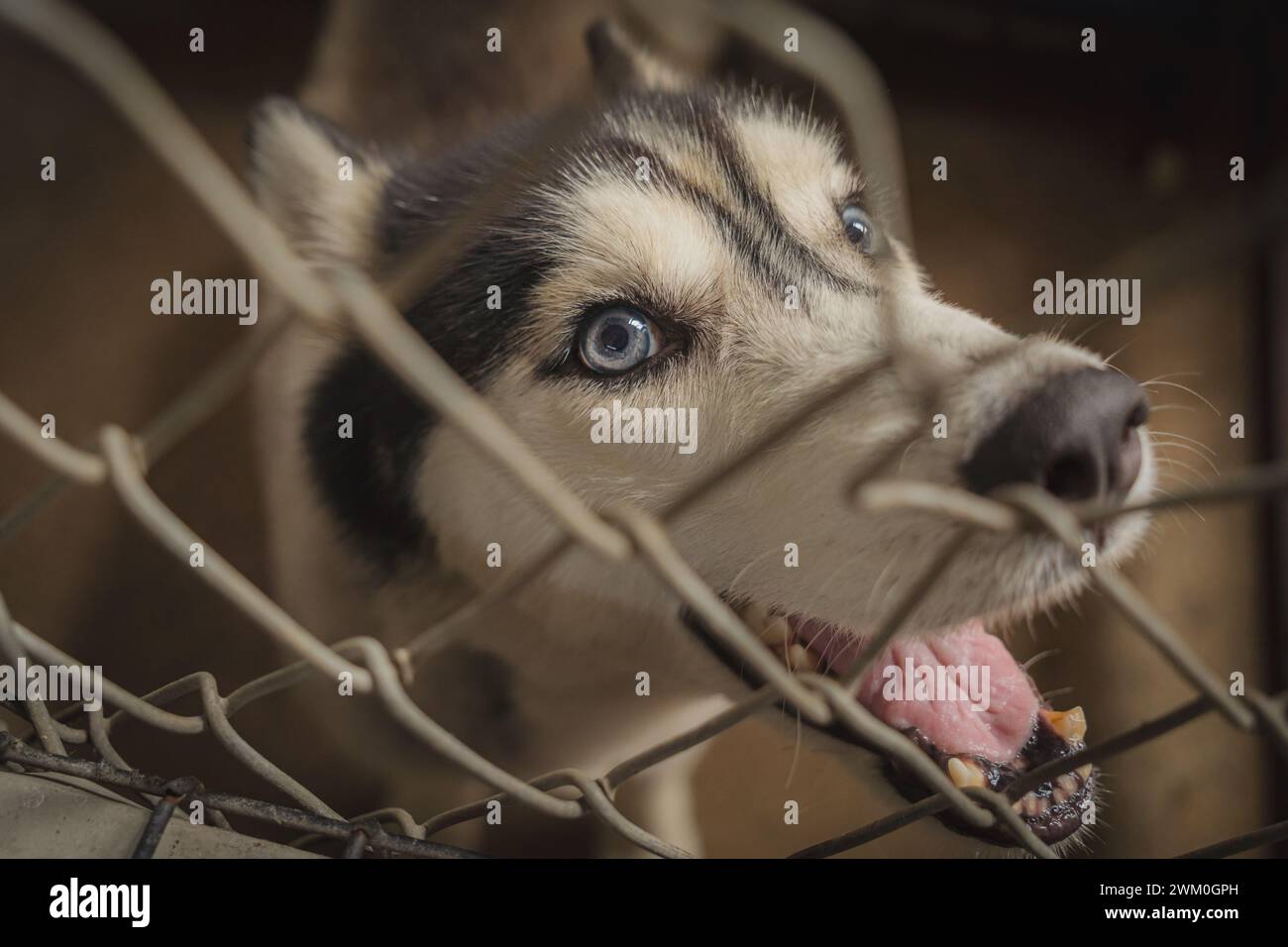 Ownerless hi-res stock photography and images - Alamy