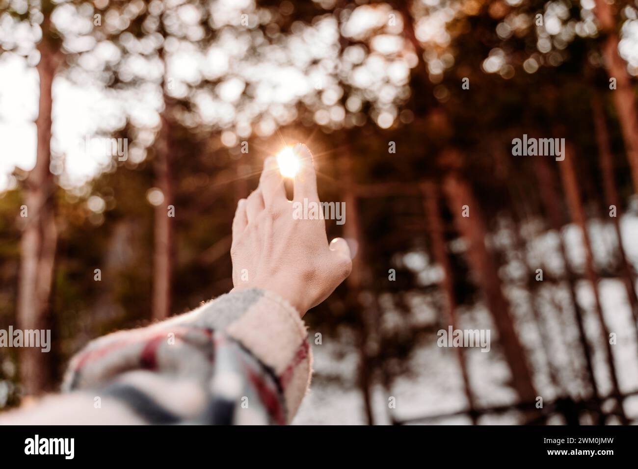 Hand of woman reaching towards sunlight Stock Photo - Alamy