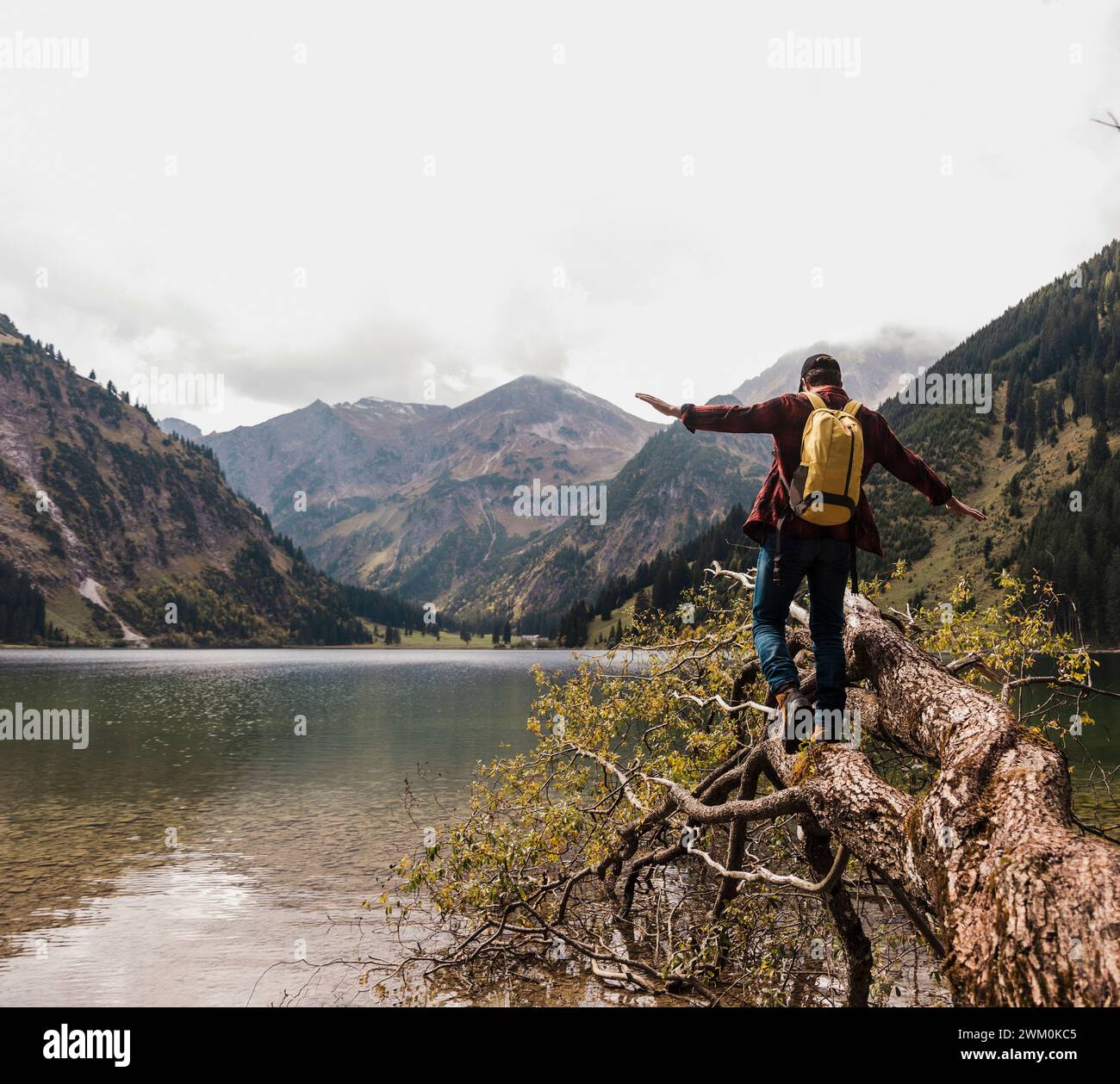 Man carrying tree trunk hi-res stock photography and images - Alamy