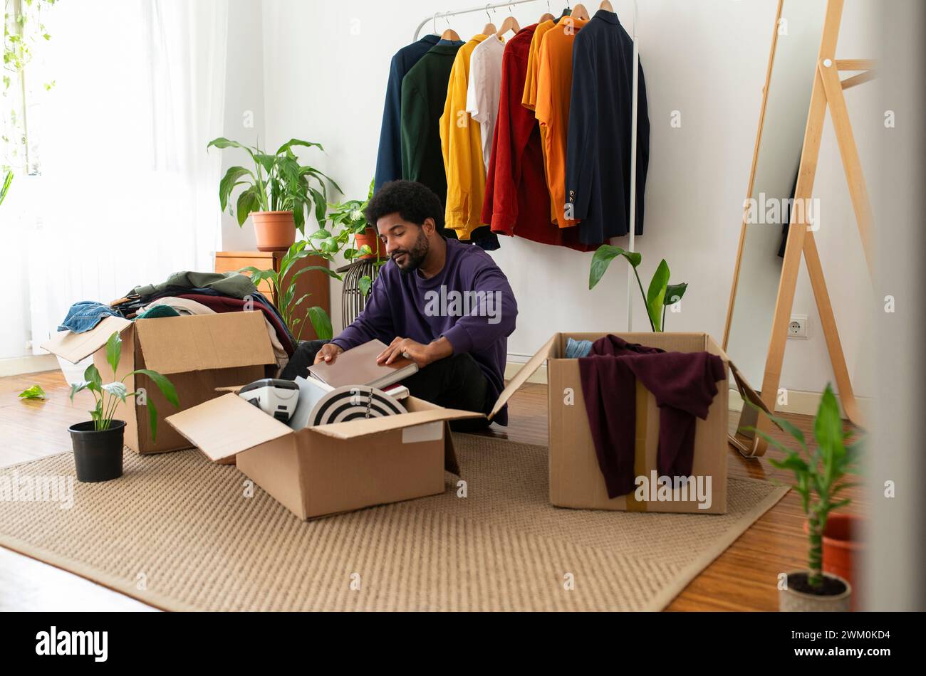 Man organizing clothes and objects in cardboard boxes Stock Photo - Alamy