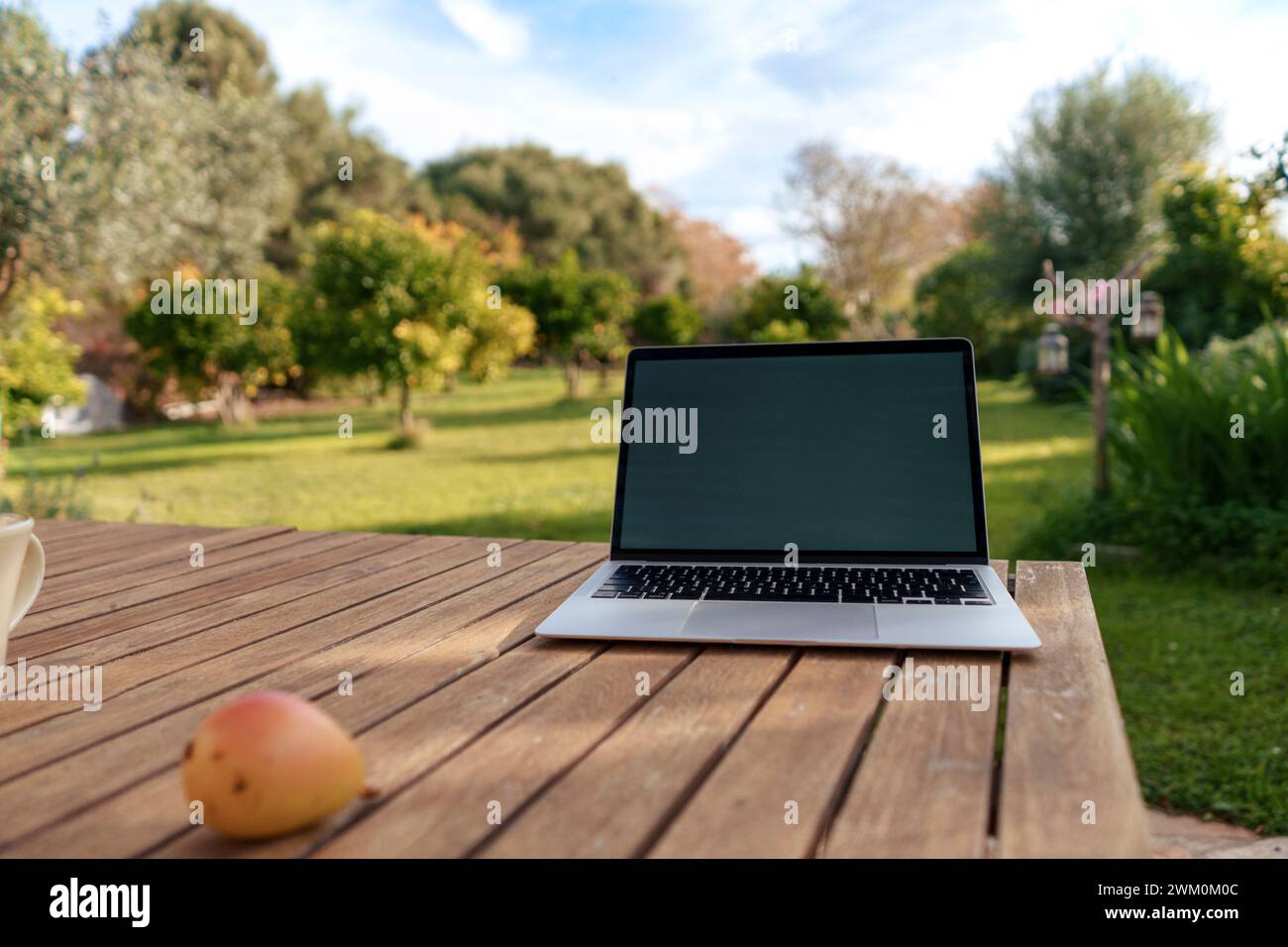 Laptop kept on table in front of trees in garden Stock Photo - Alamy