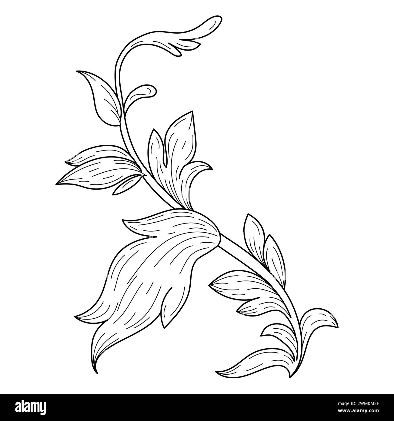 Flower vintage scroll Baroque Victorian frame border. floral ornament ...