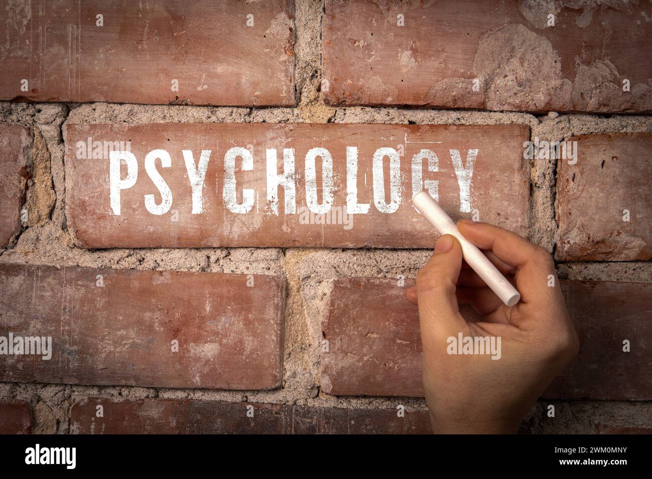 Psychology. Text written with white chalk on a red brick background ...