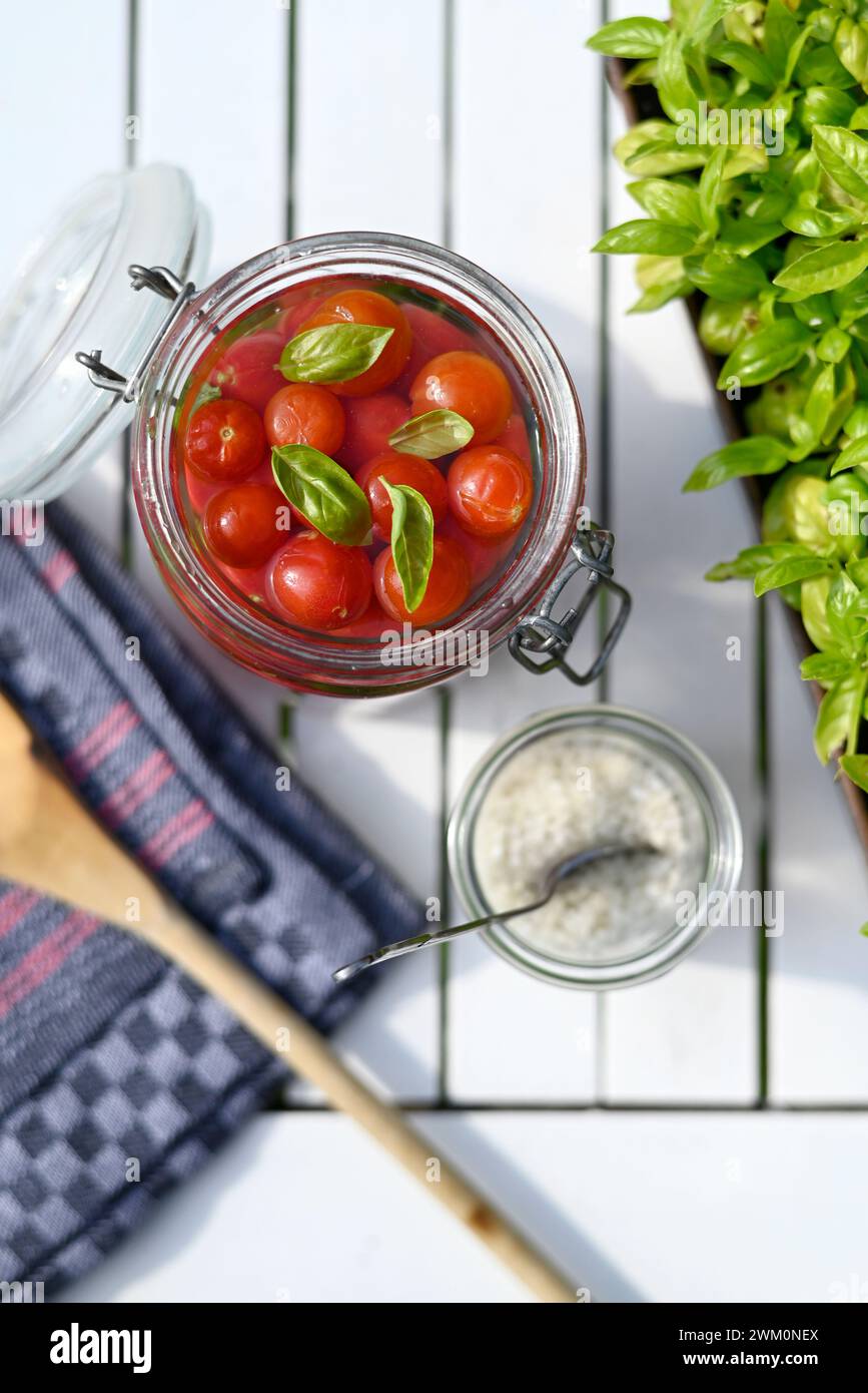 Preserved tomatoes in jar with basil leaves Stock Photo - Alamy