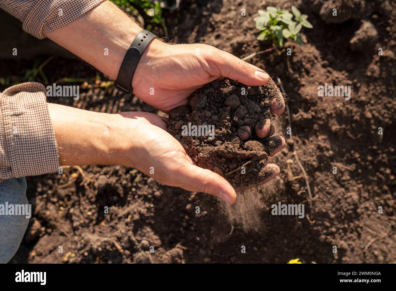 Farmer collecting soil in hand at farm Stock Photo - Alamy